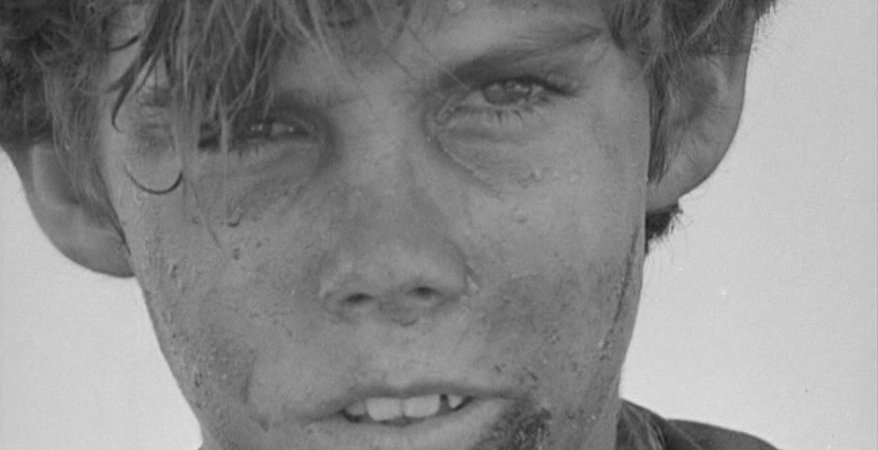 Sa majeste des mouches : Le film Sa majeste des mouches : Le film