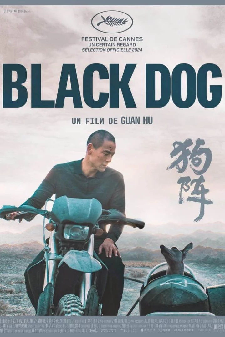 Black Dog | 2025