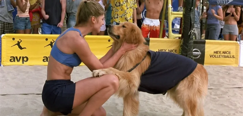 Air Bud 5 - Superstar | 2013