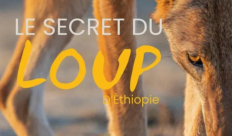 Le Secret du Loup d’Éthiopie : horaires et séances à Plélan-le-Grand