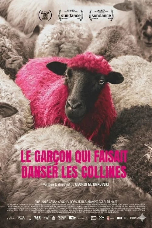 Le Garçon qui faisait danser les collines : horaires et séances à Meythet